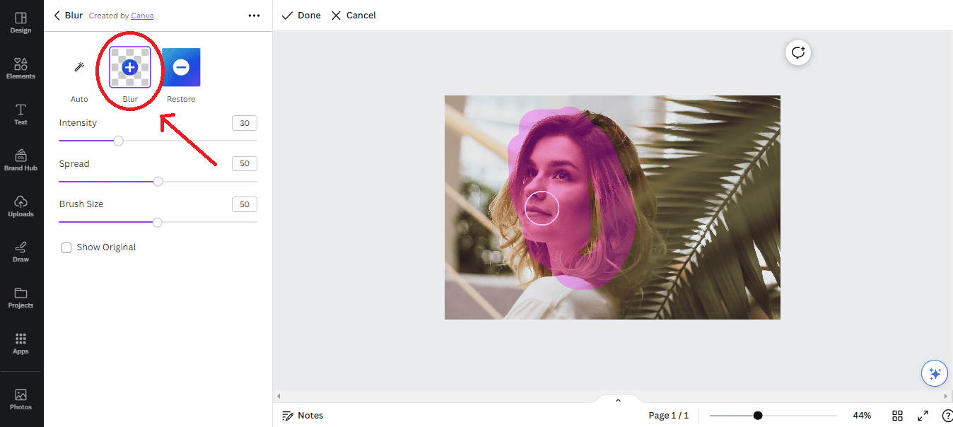How to Blur Pictures or Faces in Pictures Using Canva?