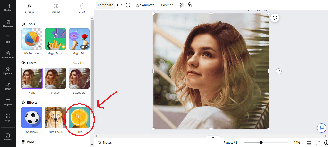 How to Blur Pictures or Faces in Pictures Using Canva?